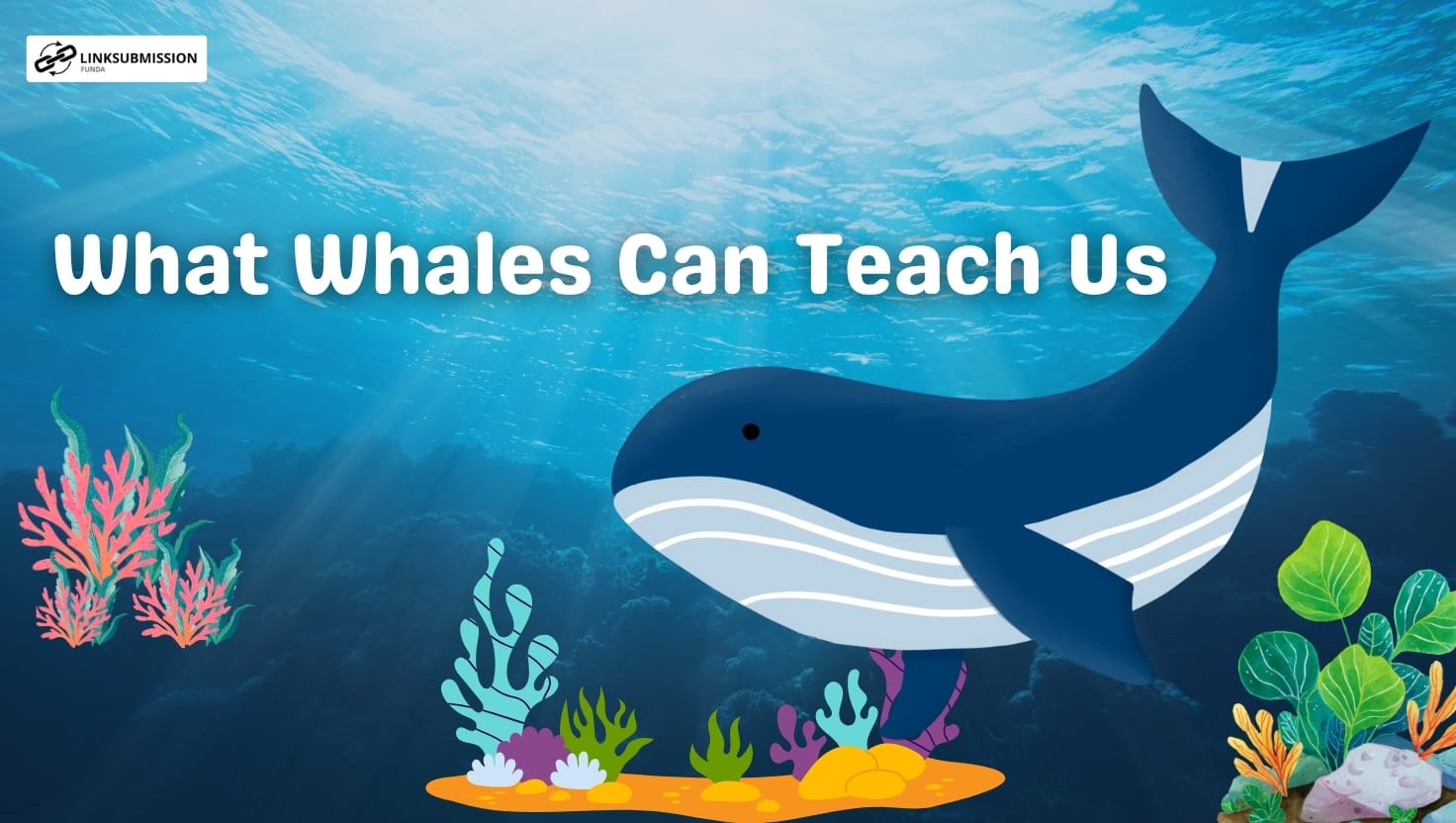 What Whales Can Teach Us: Lessons from the Giants of the Deep ...